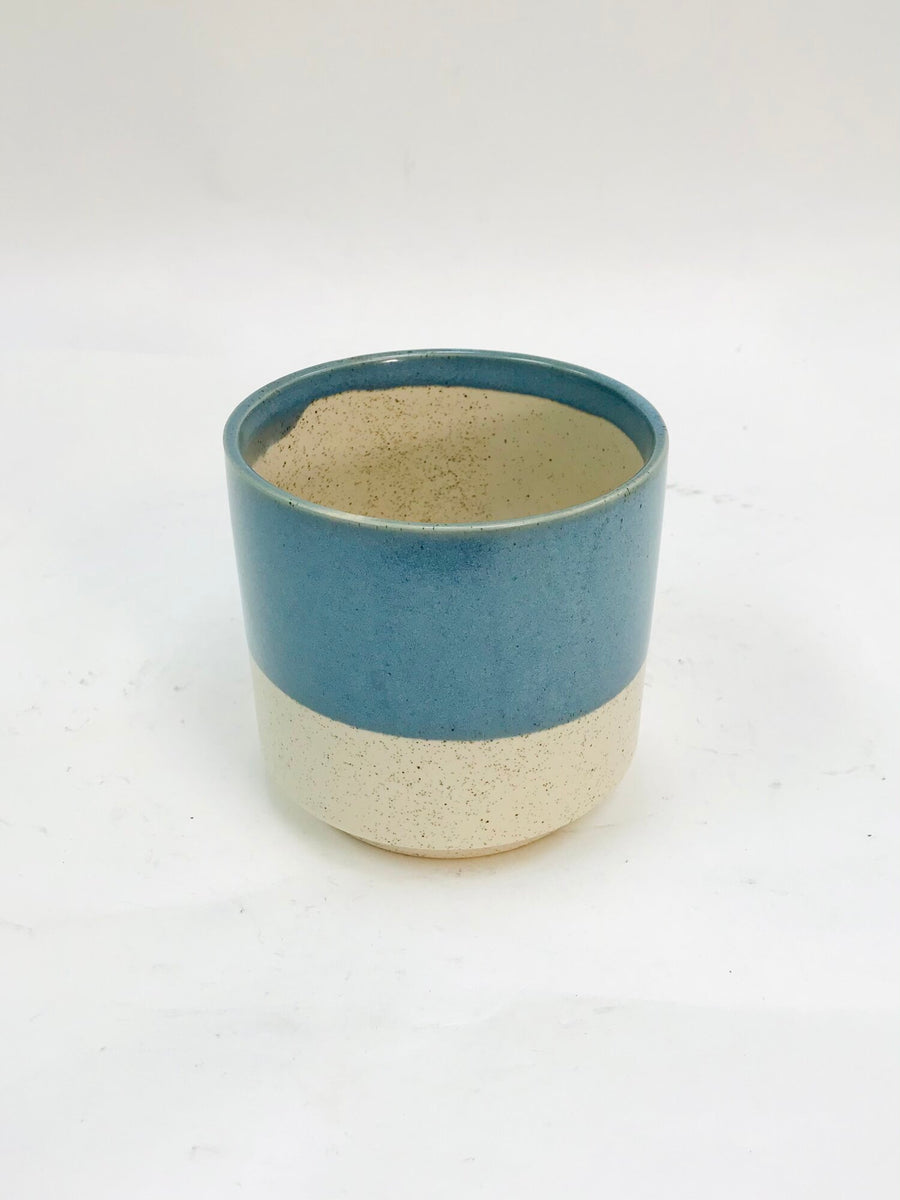 Blue Miguel Pot 4" – SF Plants